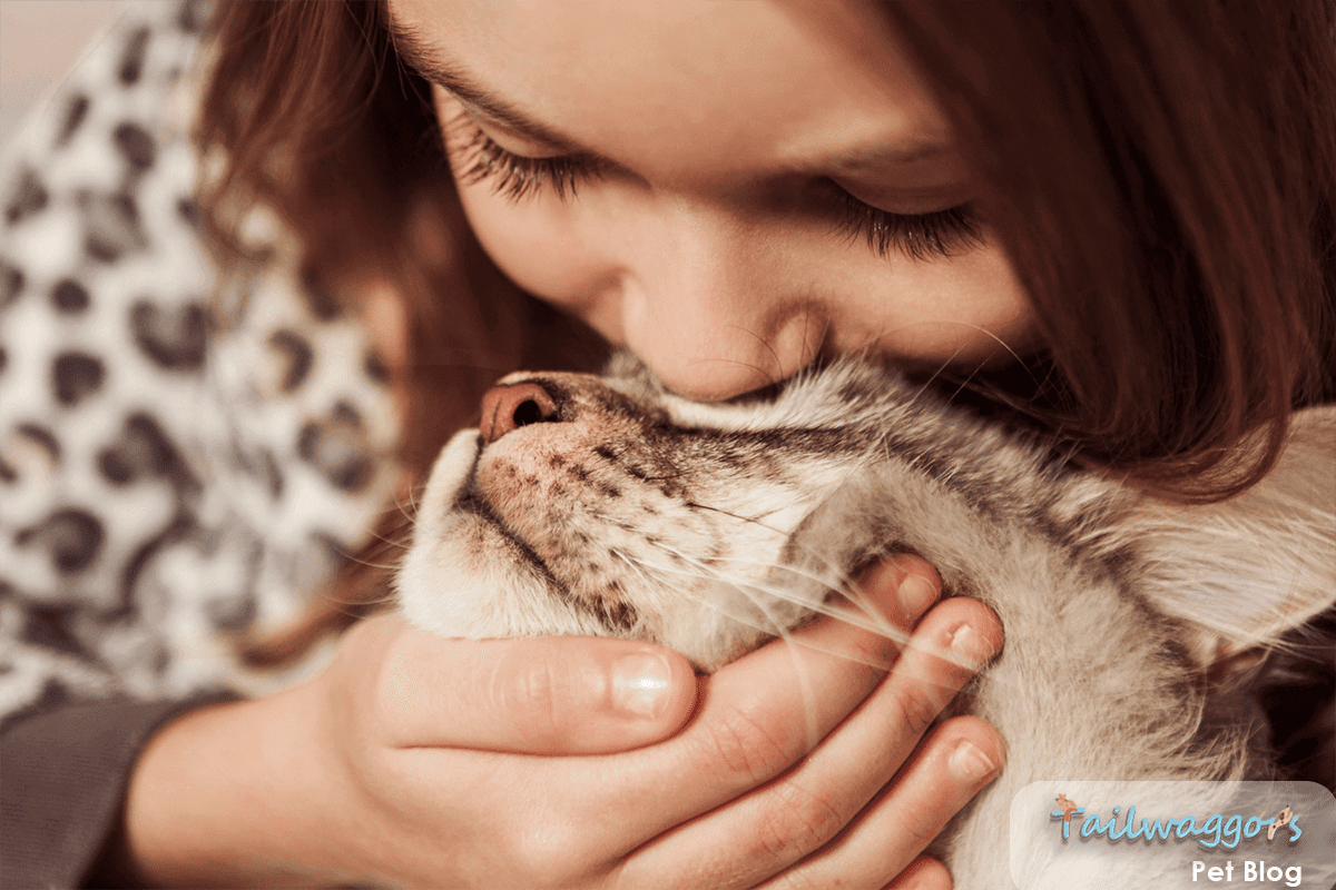 Most Affectionate Cat Breeds: Top 10 Loving Cats (2025 Guide ...